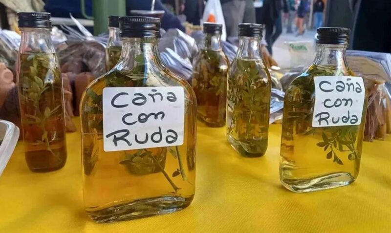 Por qué se toma caña con ruda y qué significa esta tradición - Revista ...
